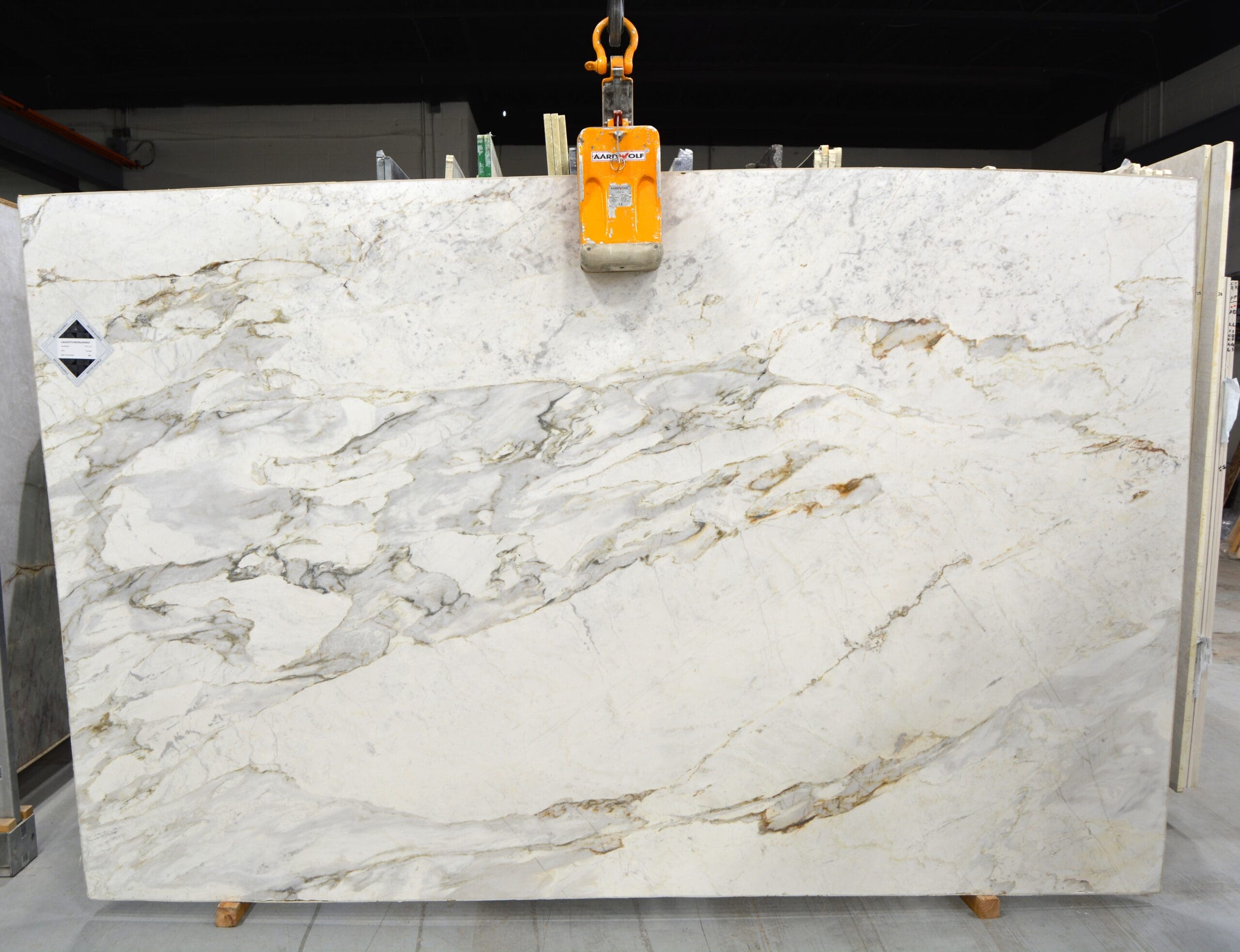 Calacatta Michelangelo Oro Honed Dolomitic Quartzite, Quartzite Slabs ...
